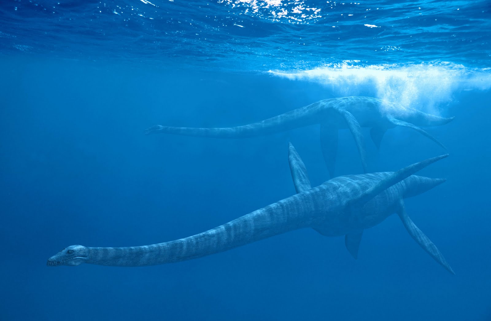 Divulgación Científica: Una plesiosaurio embarazada