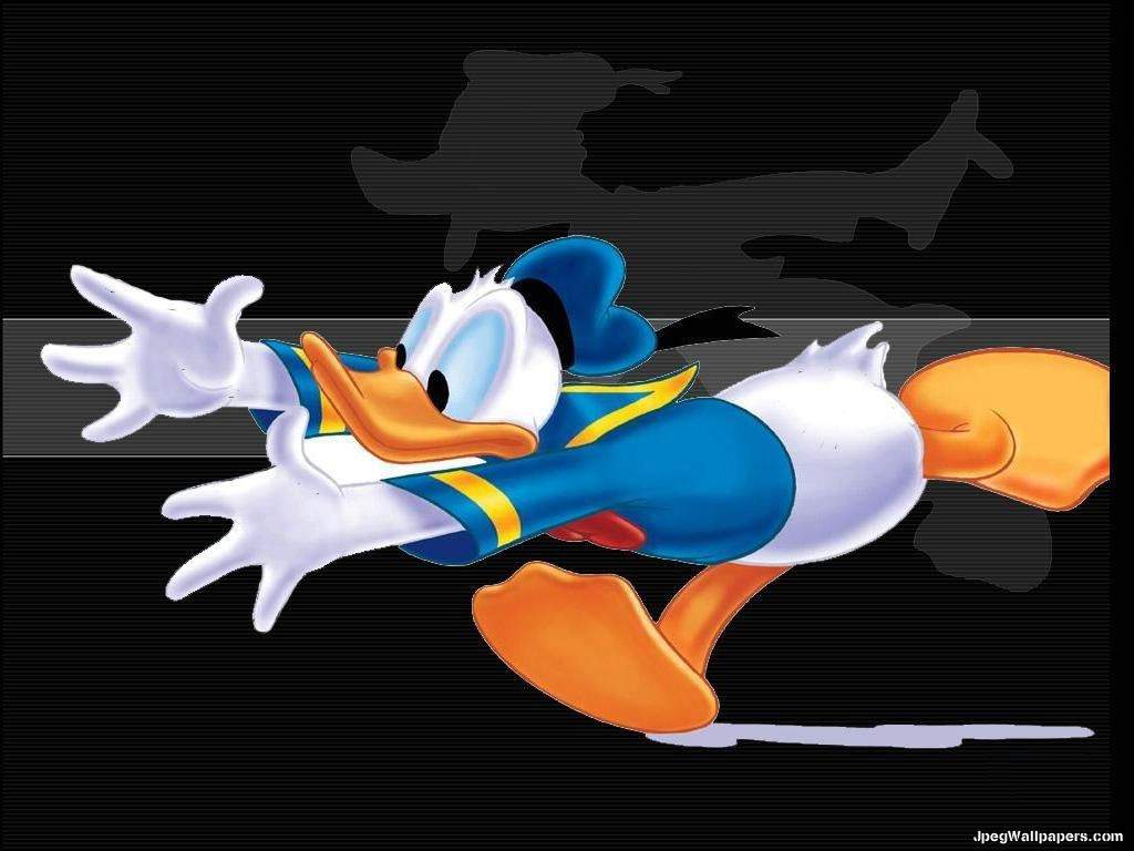 Donald Duck 1 | WallPapers