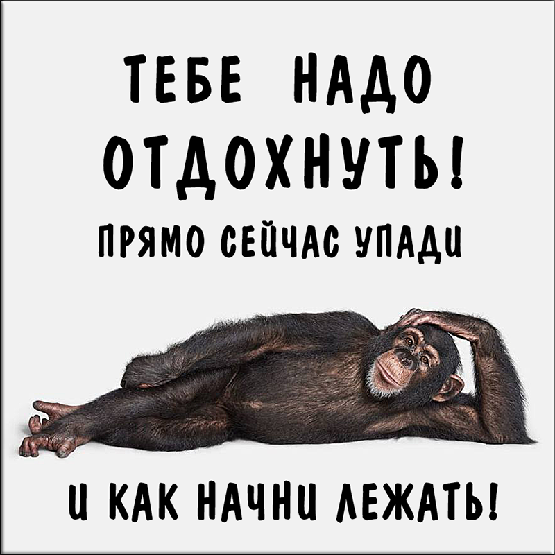 Био: Зоология 7 класс