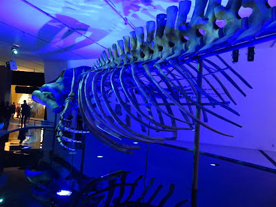 The World of Gord: Out of the Depths, The Blue Whale Exhibit at the ROM