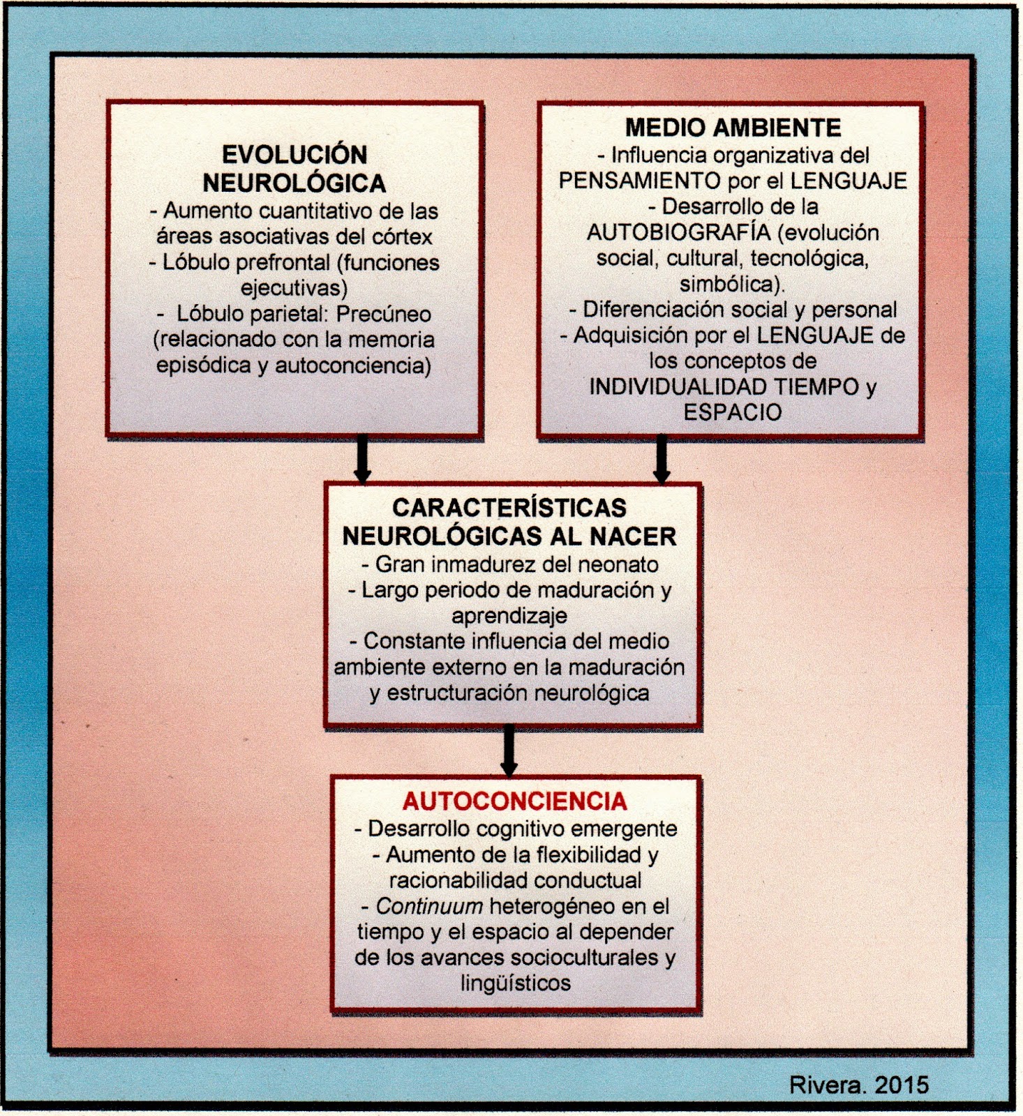 Psicobiología del género Homo: Ontogenia y coevolución de los ...