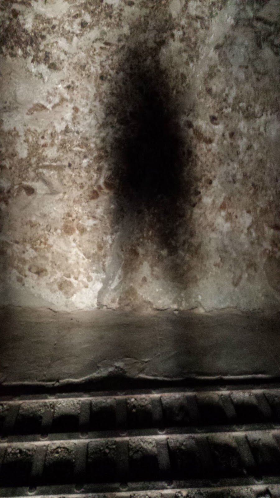 Top 10 Freakiest Unexplained Phenomena of the 2000s.