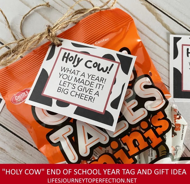 Life's Journey To Perfection: "Holy Cow" End of School Year Printable ...
