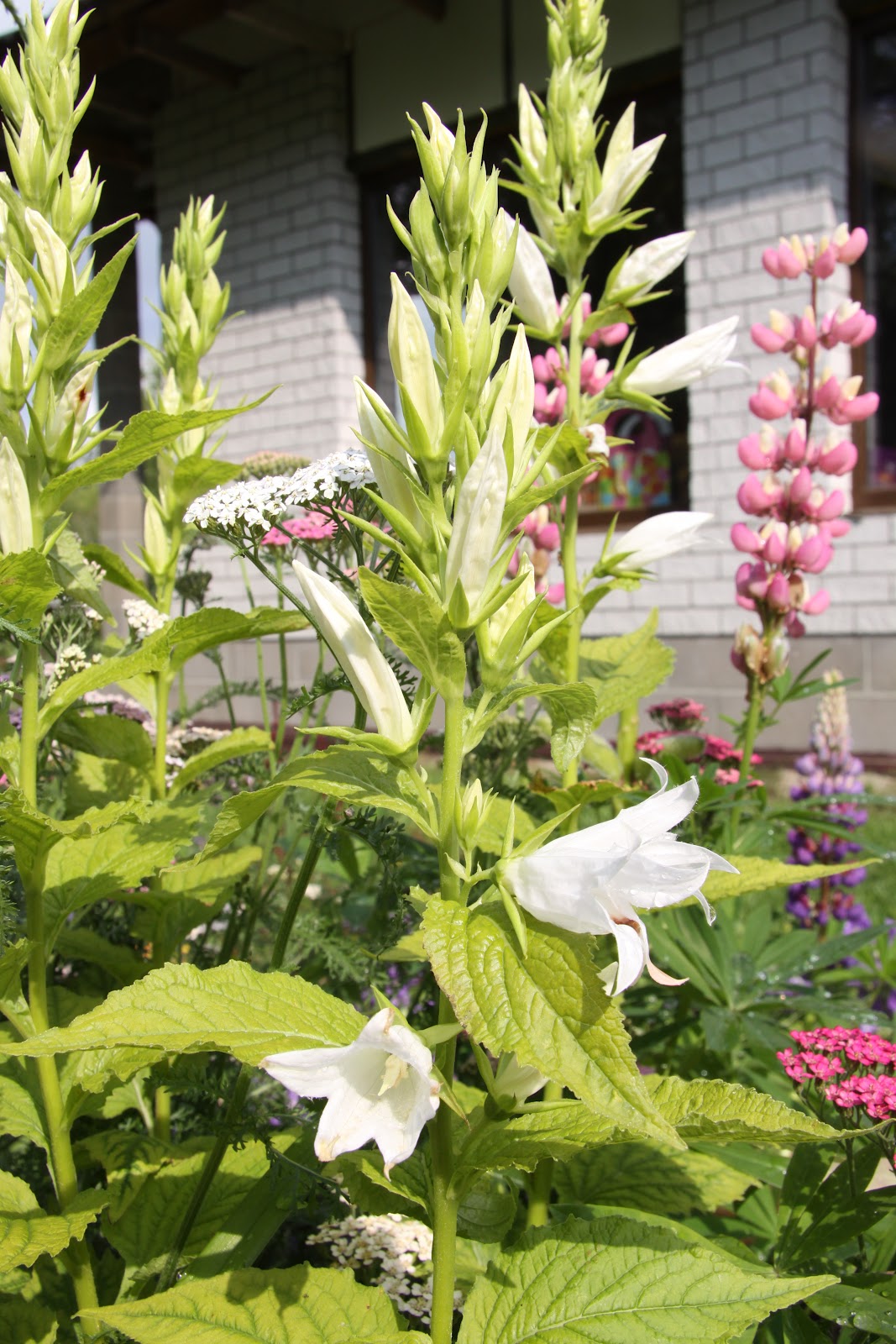 Nupukese tegemised: mai 2012