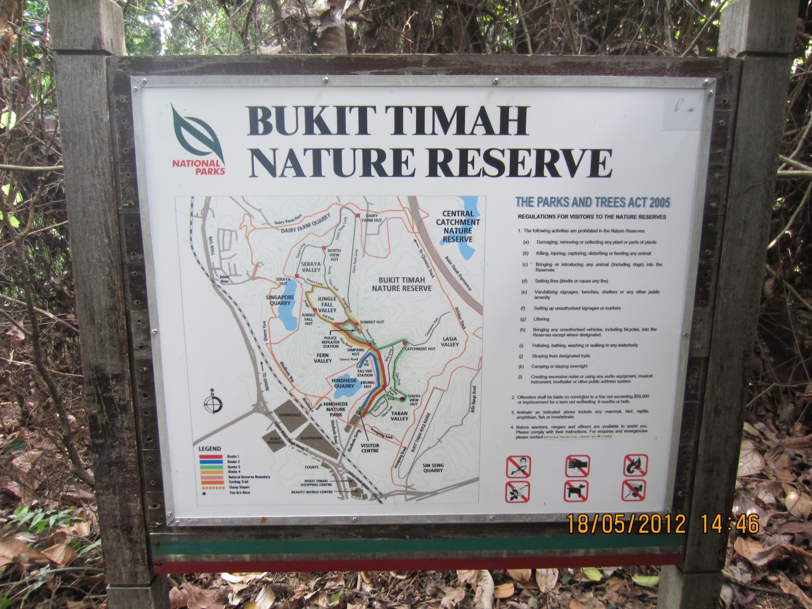Bukit Timah Nature Reserve :)