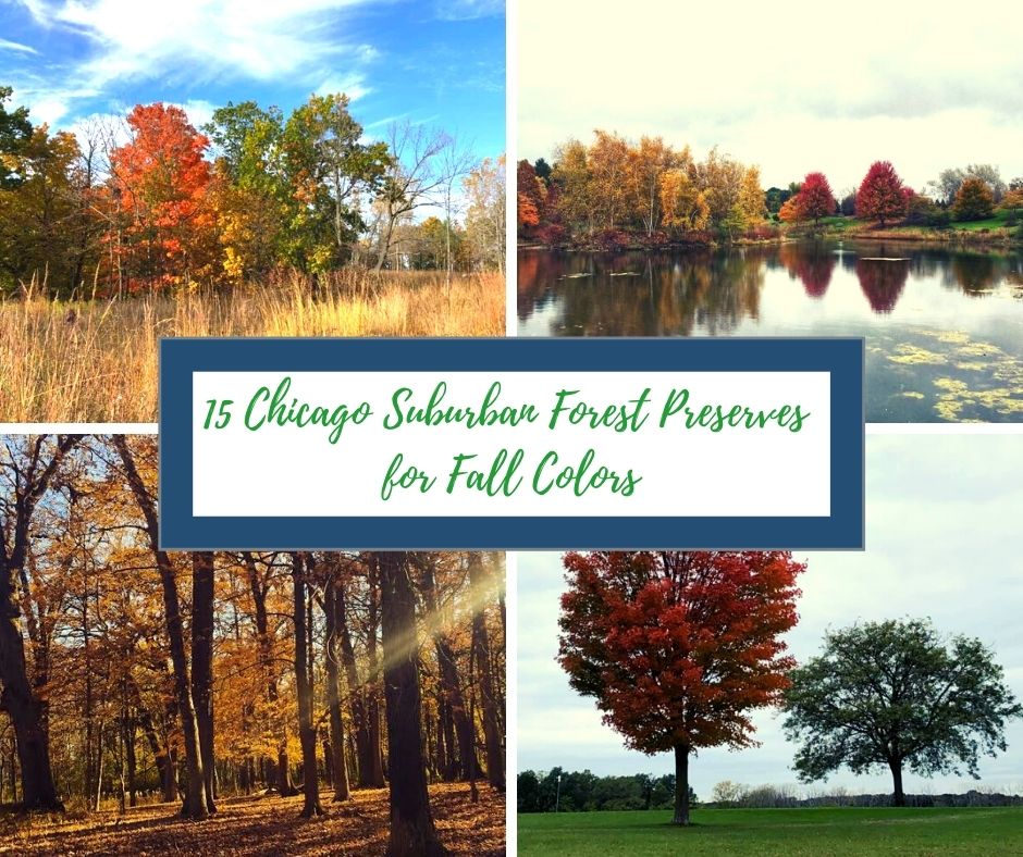 A Little Time and a Keyboard: 15 Chicago Suburban Forest Preserves for ...