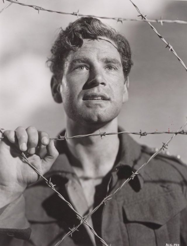 Anthony Steel: One of Britain’s Most Popular Matinee-Idols During the ...