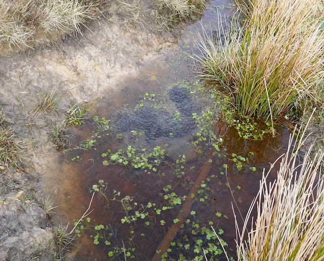 Walking in North Yorkshire: Nether and Over Silton to Hanging Stone and ...