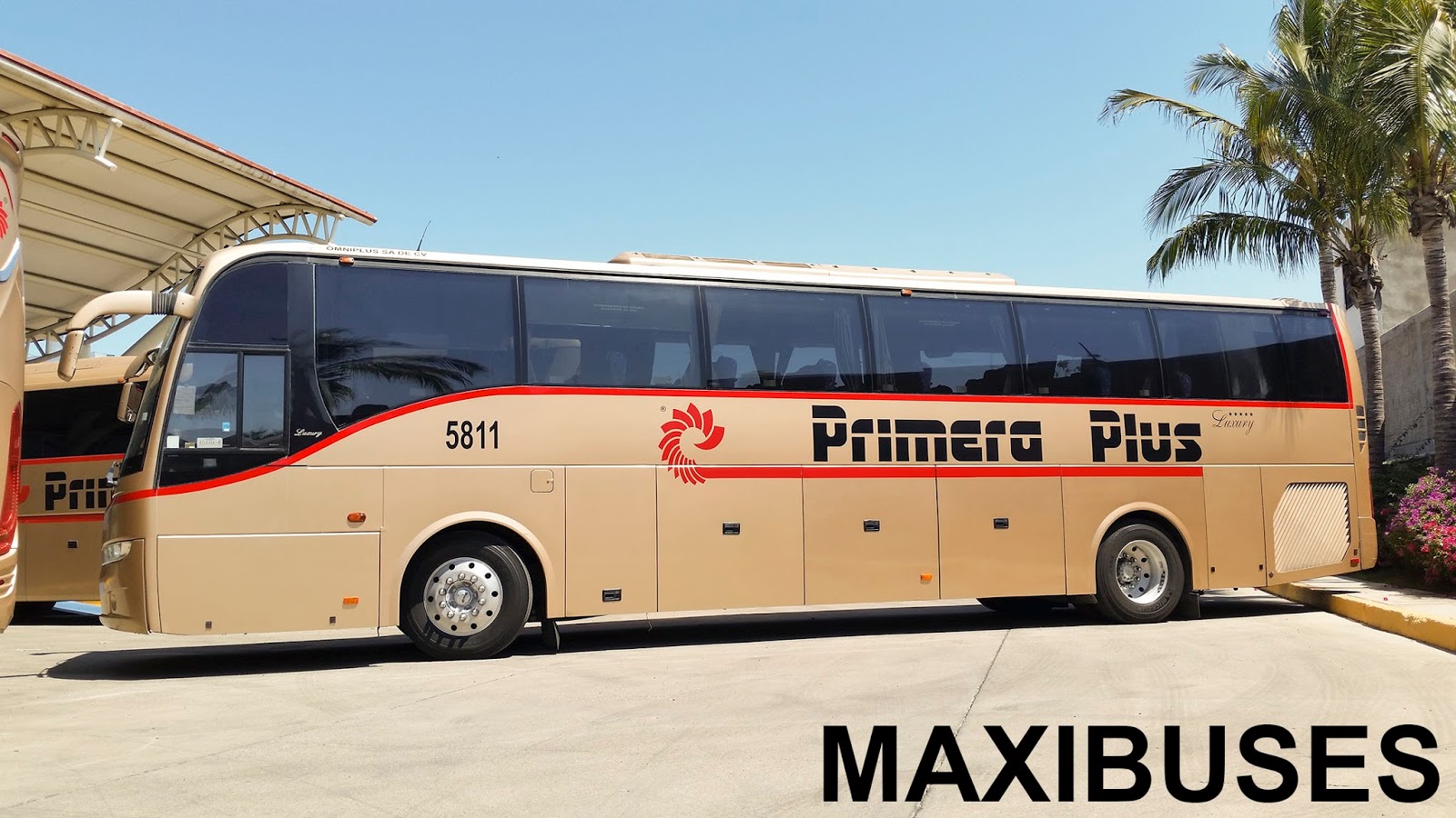 MAXIBUSES: PRIMERA PLUS