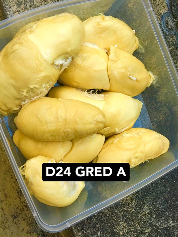 Berita TV Malaysia: HARGA DURIAN RUNTUH SANGAT MURAH