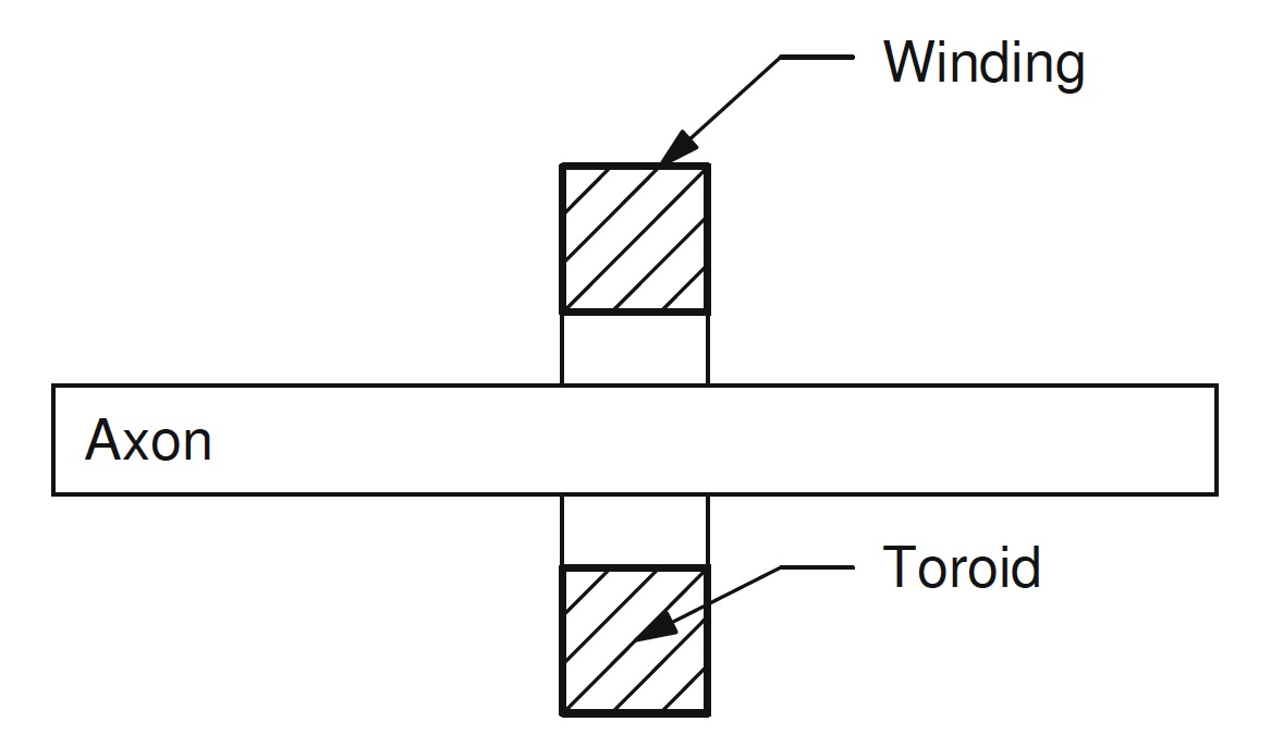 Intermediate Physics for Medicine and Biology: The Toroid Illustration ...