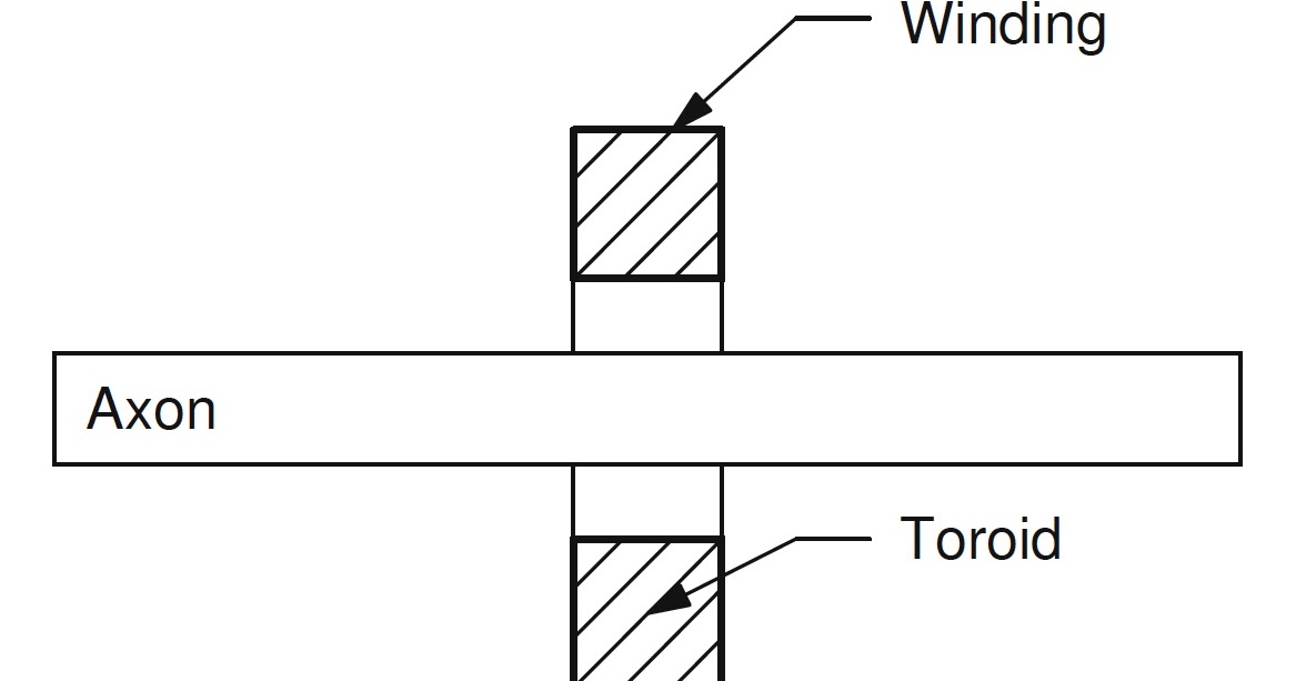 Intermediate Physics for Medicine and Biology: The Toroid Illustration ...