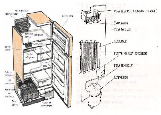 11. Kulkas dan Freezer | Blog PPART