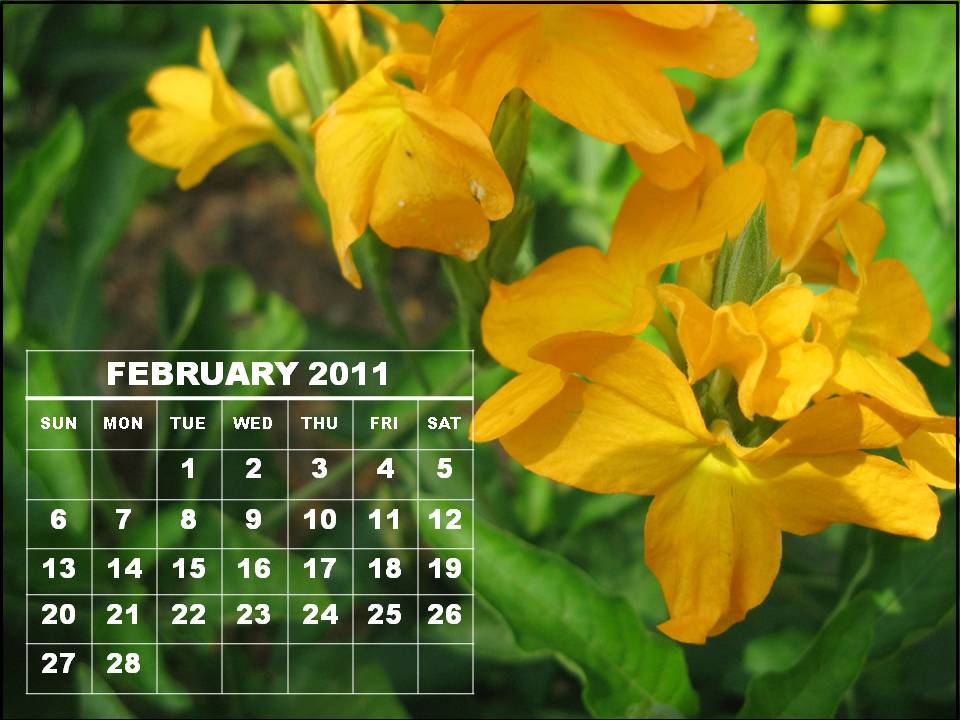 month of february calendar 2011 | fashion online magazine