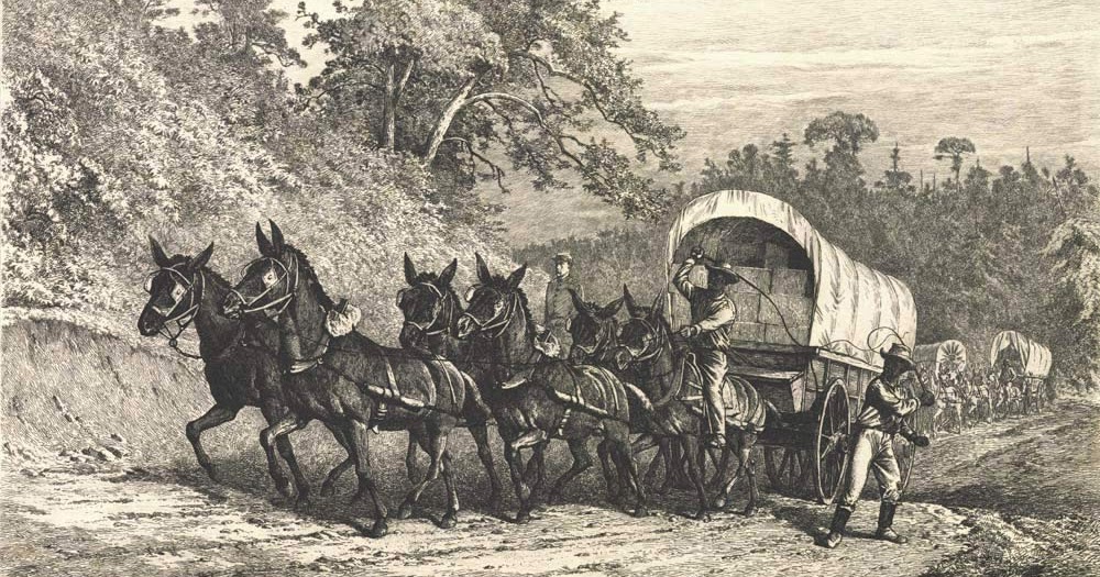 Looking for the Confederate War: Confederate Wagon Trains, Teamsters ...