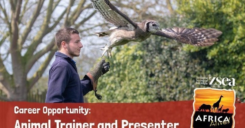 Zoo Jobs: ANIMAL TRAINER AND PRESENTER