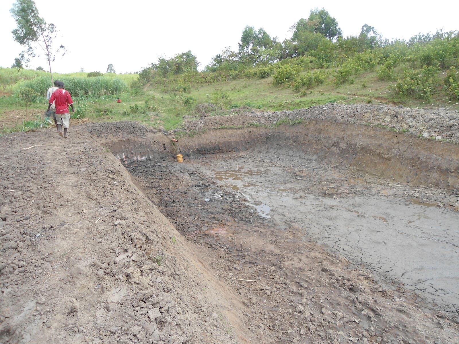 Canada to Kenya: Today was fish ponds being dug