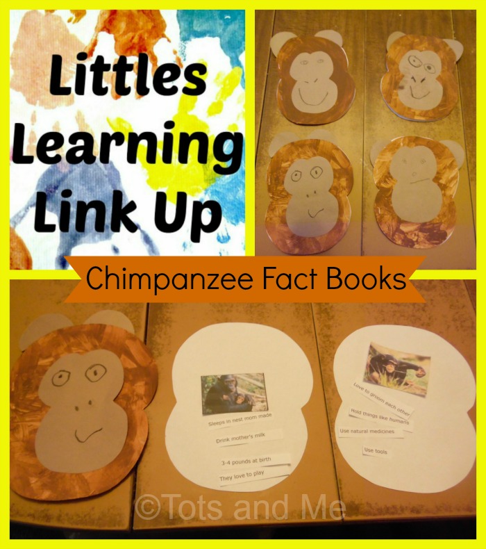 Tots and Me... Growing Up Together: Littles Learnng Link Up: Chimpanzee ...