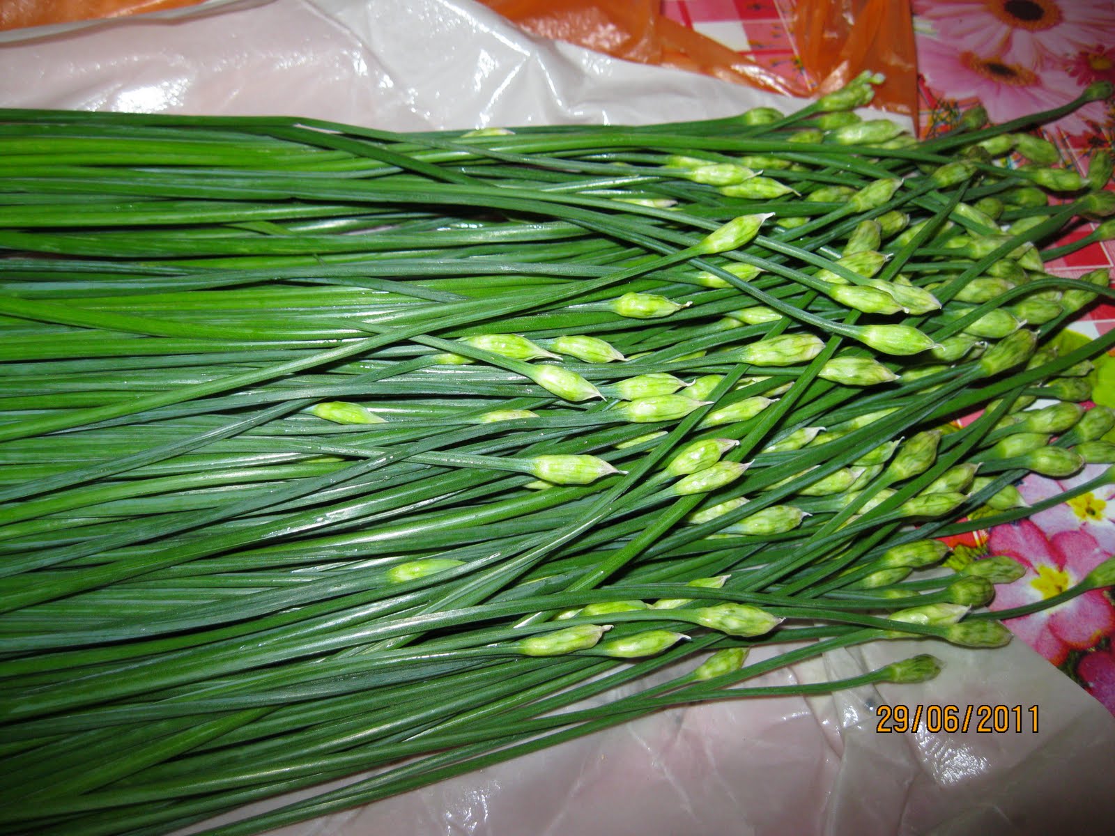 Dari Dapur Maklong: Bunga Kucai Goreng Telur