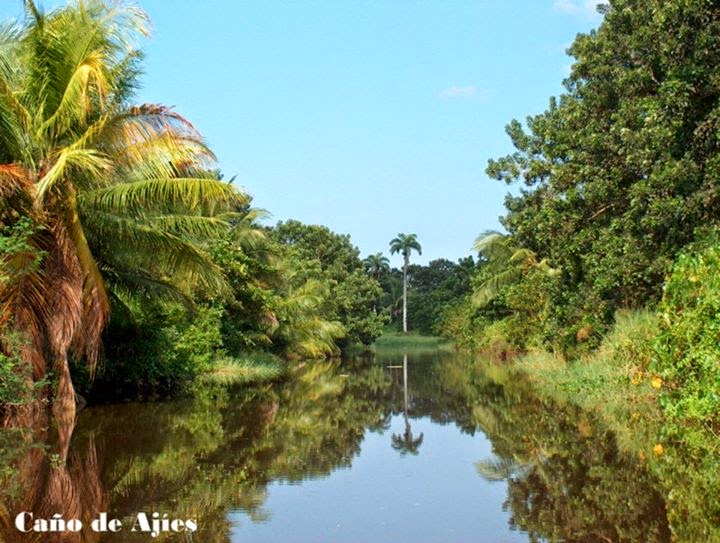 Carúpano Fotográfico: El Pilar, Guayabal