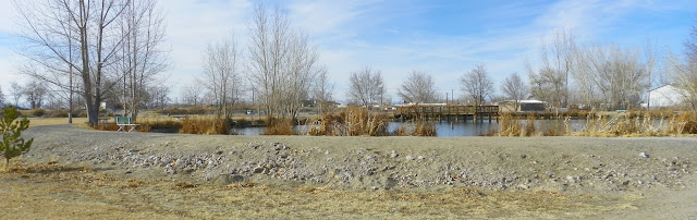 Fallon, Nevada Things to do: Liberty Park