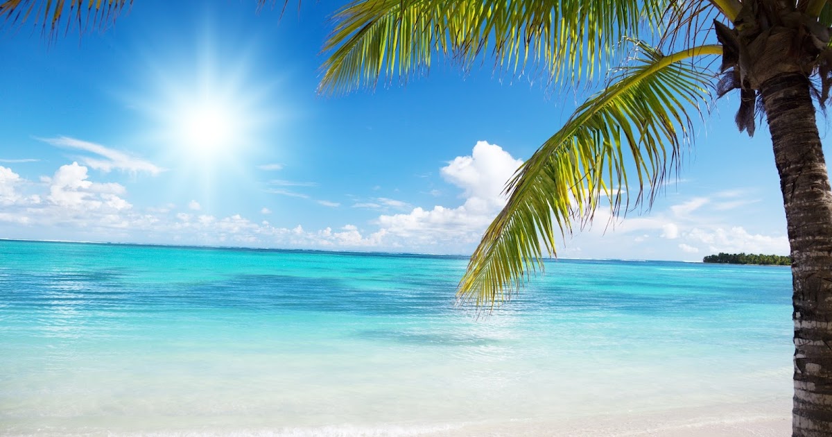 UN TRISTE TIGRE: Las 7 cosas que deberías saber antes de ir a la playa