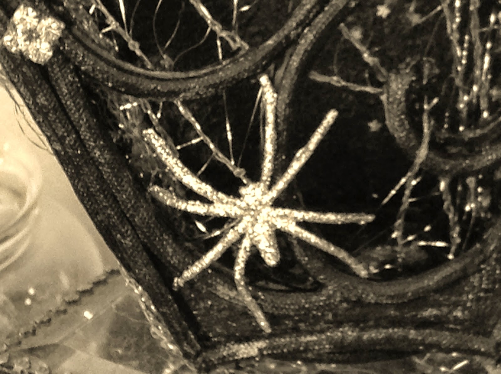 The Wood Beyond The World: The Fairy Spider's Wardrobe