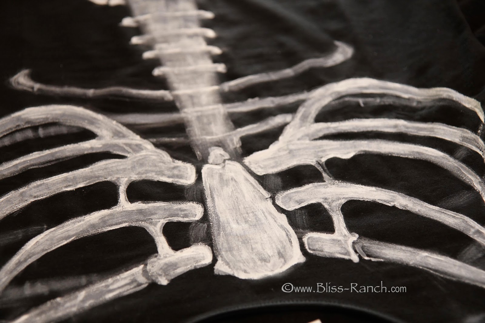 Bliss Ranch: Skeletons and Shocktails