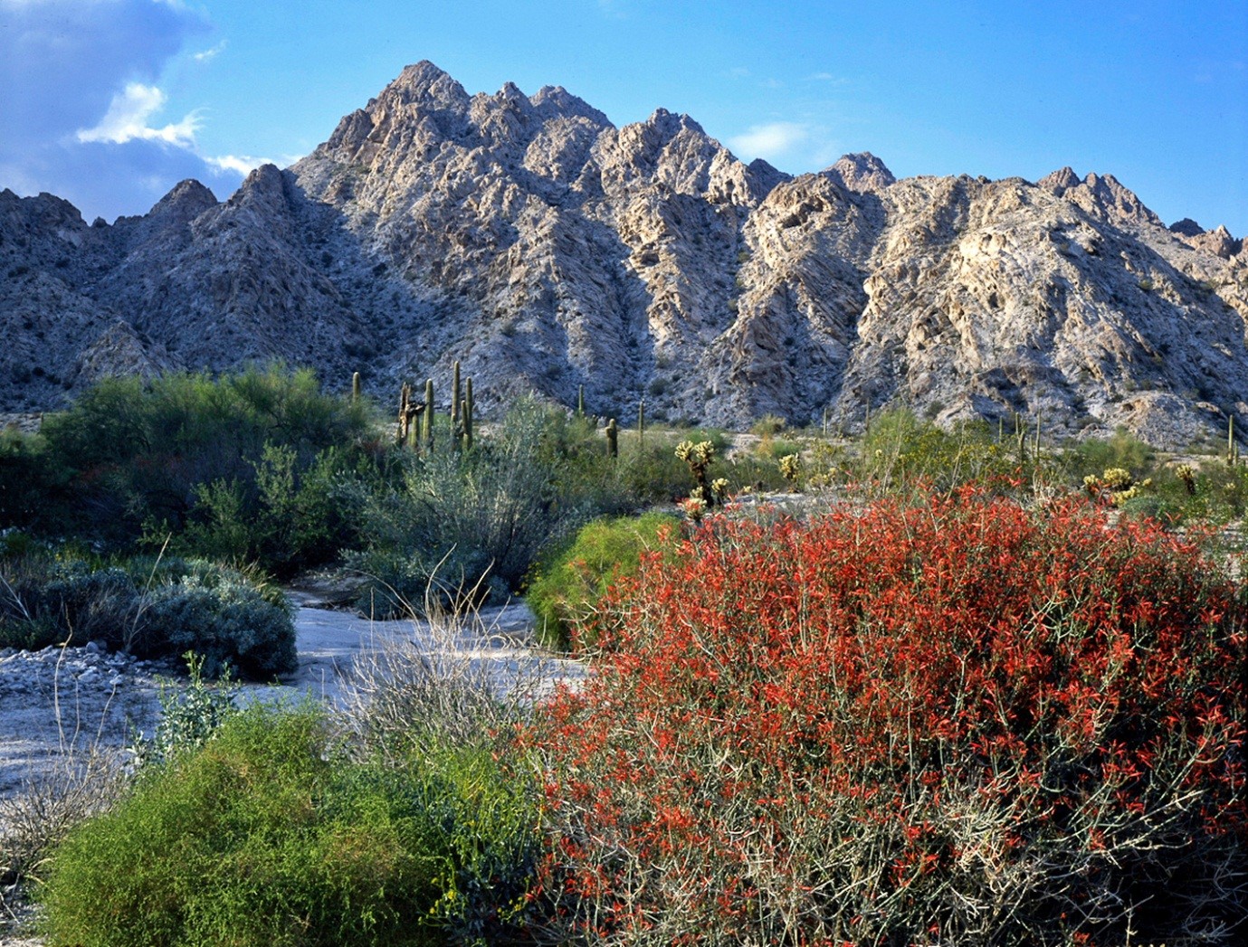 CARACTERÍSTICAS DEL AMBIENTE FÍSICO