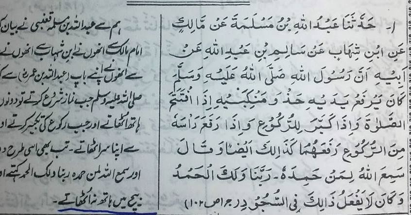 ISLAMIC LEAKS: HAM AHLE HADITH SAJDE ME RAFULYADAIN KYON NAHIN KARTE