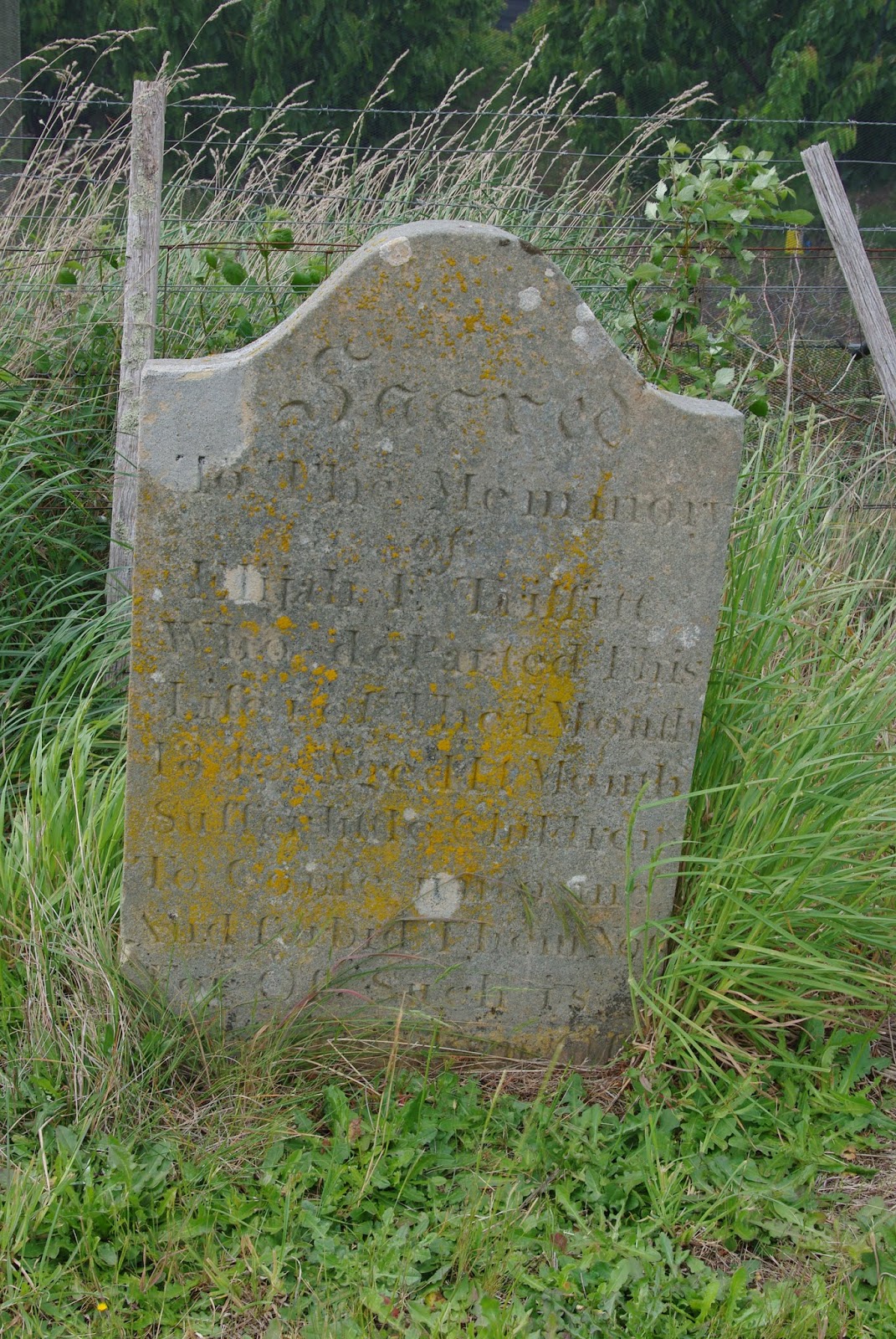 No. 598 - Lawitta - The Back River Methodist Chapel