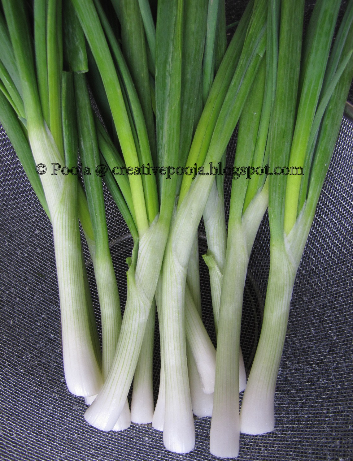 My Creative Ideas: How to choose Spring Onions