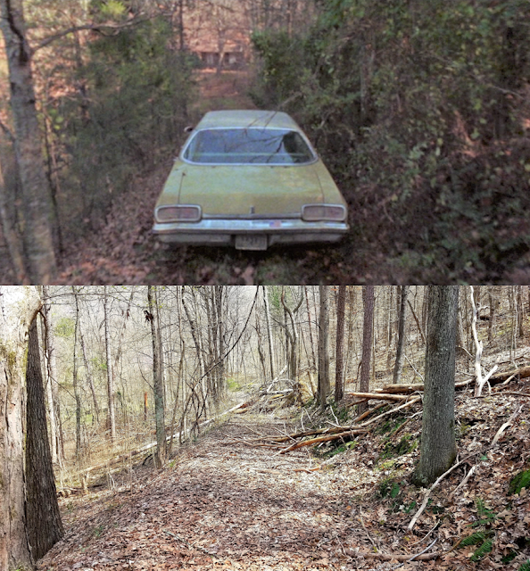 Then & Now Movie Locations: The Evil Dead (1981)