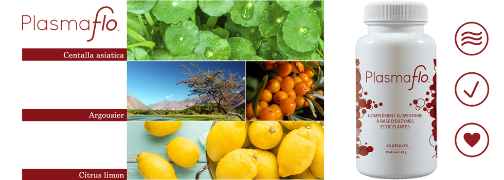 Cerule Québec Fr.: PlasmaFlo de Cerule