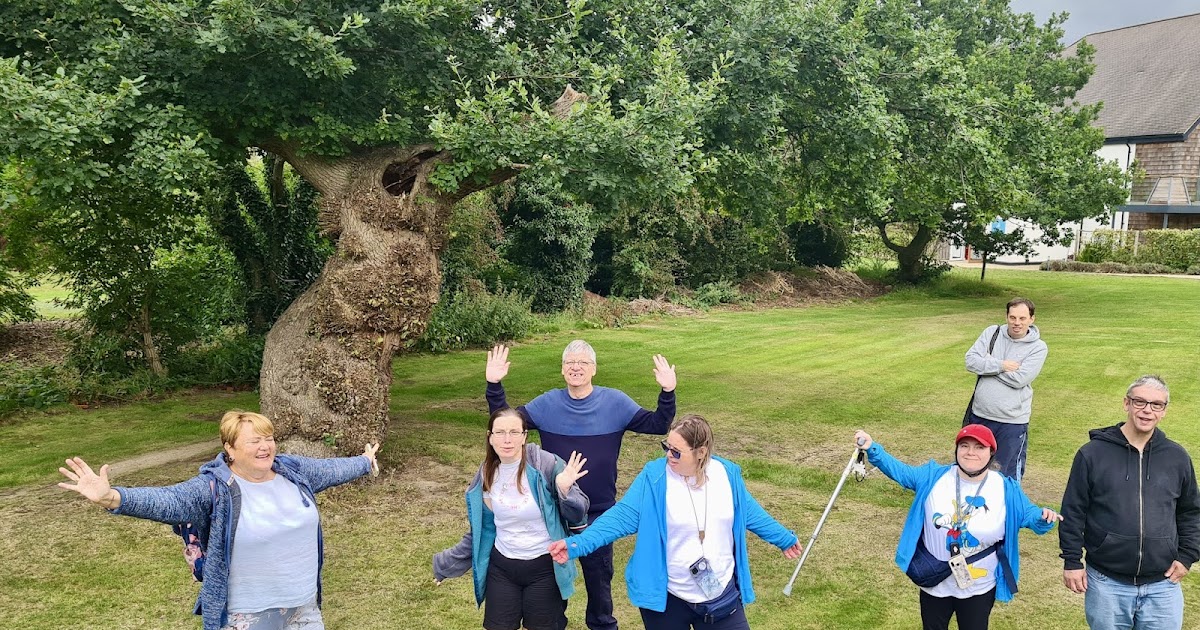 JollyDays Supported Holidays: Warners- Alvaston Hall with Midi & Netty