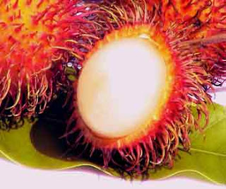 all about Philippines: Top10 famous fruit in Philippines(8-7)