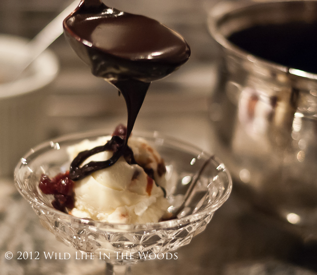 Goat Cheese Ice Cream with Boozy Cherries and Hot Fudge Sauce - That ...