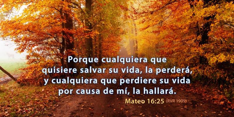 Vida En El Espíritu: PERDER LA VIDA, SALVAR LA VIDA