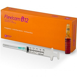 FLEXICAM B12 | Medicamentos