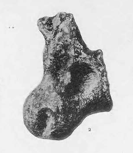 Equatorial Minnesota: Your Friends The Titanosaurs, part 18 ...