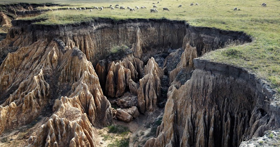 Soil Erosion: Causes Effects and Prevention | TechGape