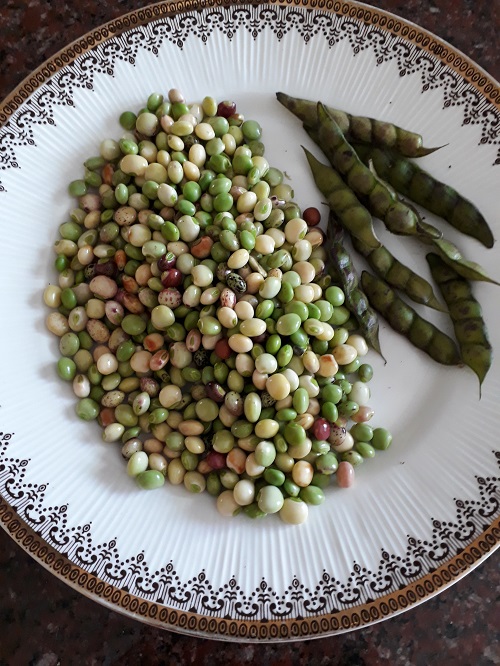 Togari Kalu Koottu - Fresh Green Pigeon Peas in a mildly spiced coconut ...