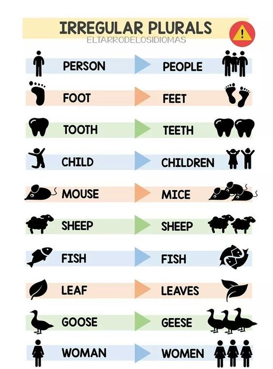 7°ENGLISH: COMMON AND IRREGULAR PLURALS