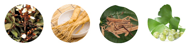 UOL >> X Power Gel funciona Para que serve bula como usar boleto farmác ...