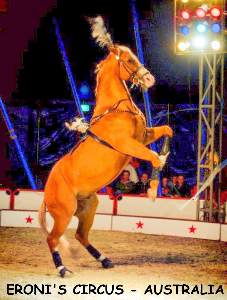 CIRCUS PHOTO ARCHIVES: ERONI'S CICUS AUSTRALIA