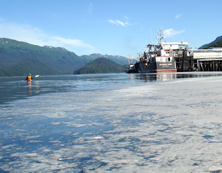 betsybear-artist: A Tour of Excursion Inlet, Alaska, July 2011