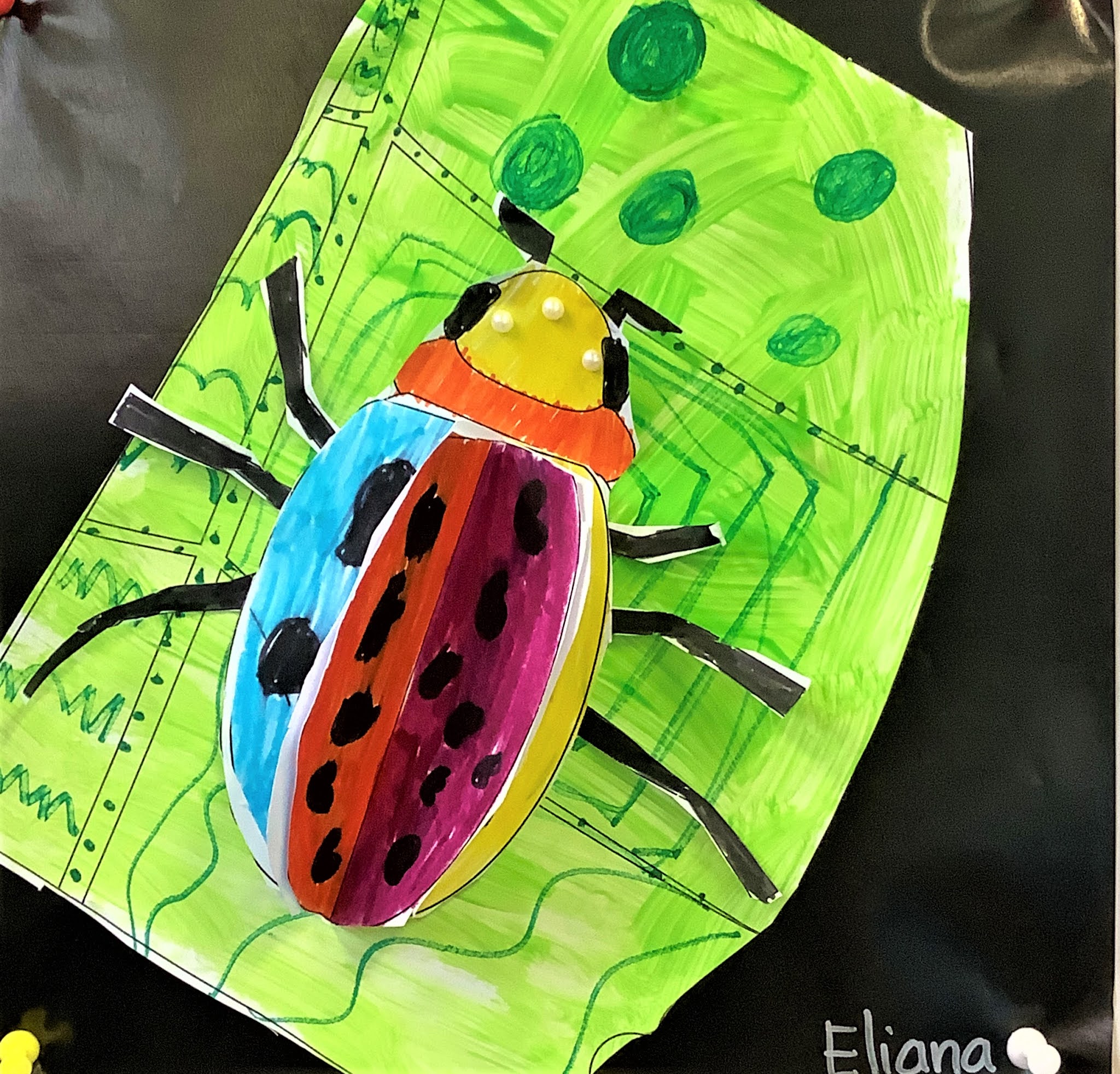 Art with Mrs Baker: 3D Insect Art - Grade 1