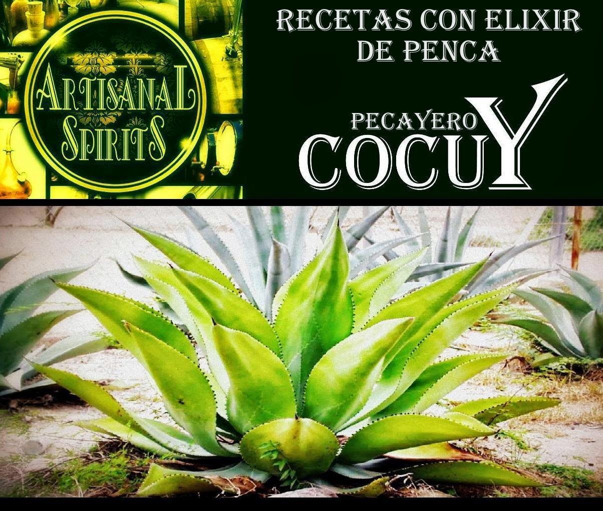 Carlos La Cruz: RECETAS CON EL ELIXIR DE PENCA , " EL COCUY VENEZOLANO"