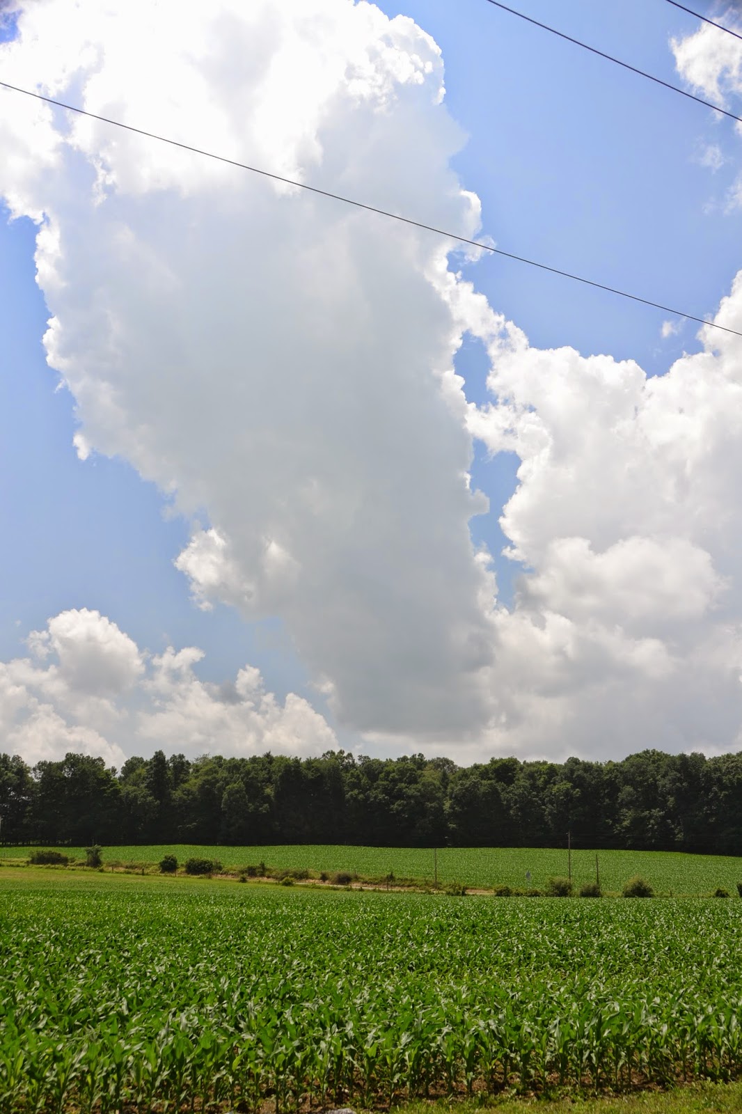 Hot, Hazy, Humid With a Chance of Thunderstorms