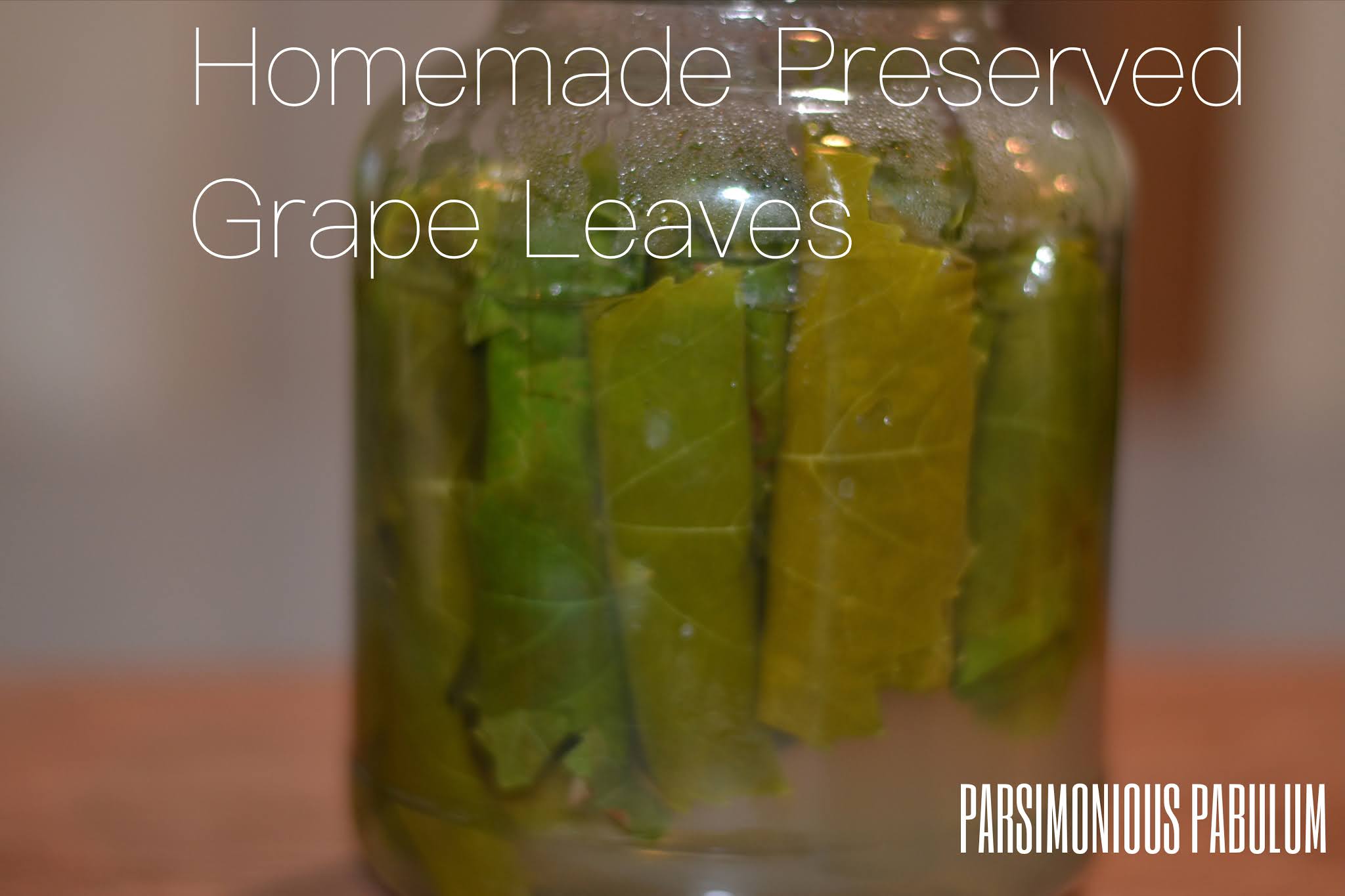 Parsimonious Pabulum: Easy Epicure